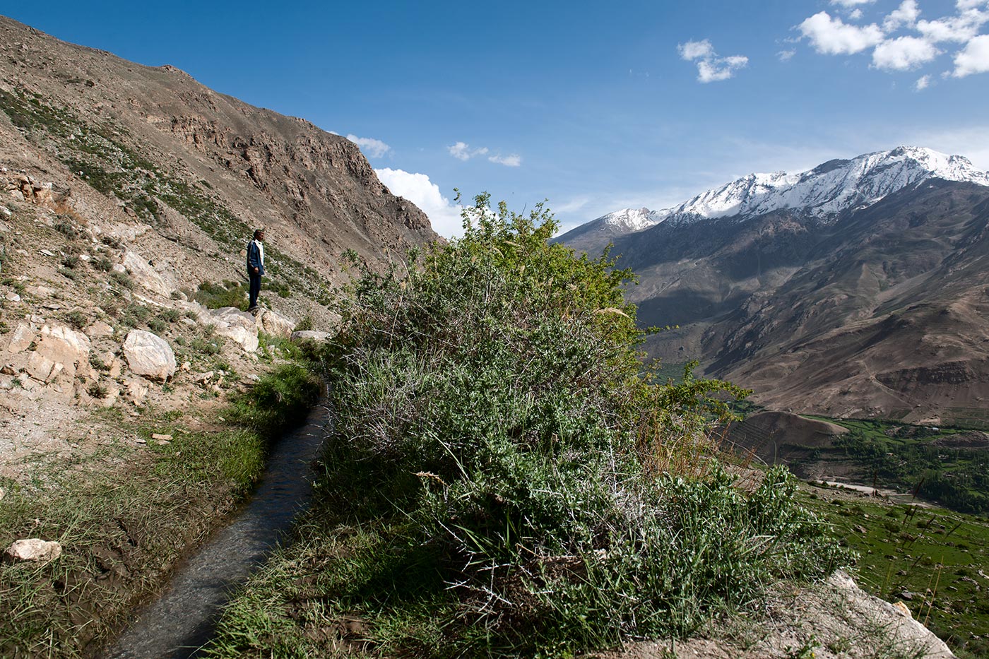 Baroj celebrating the water - People and Plants