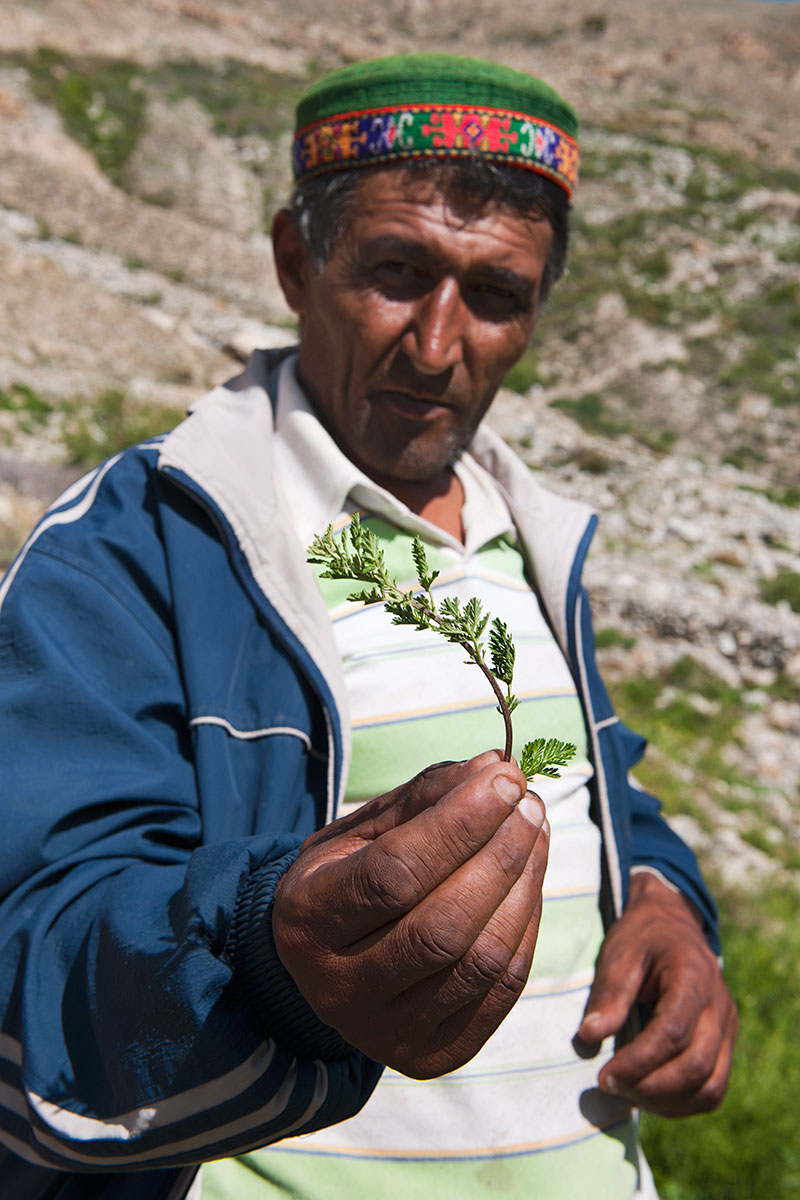 Baroj celebrating the water - People and Plants