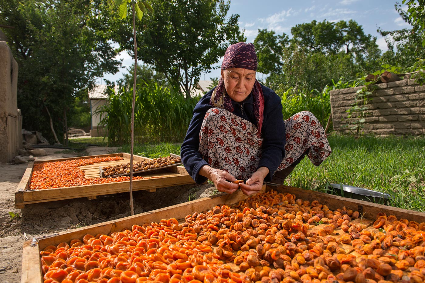 Samarkandek - People and Plants