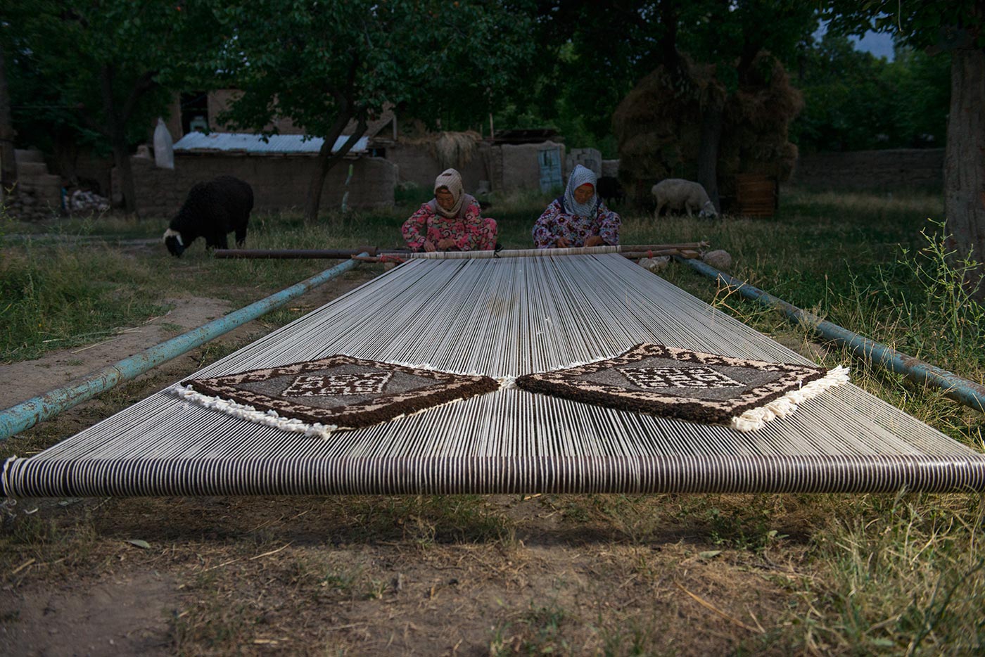 Batken - People and Plants
